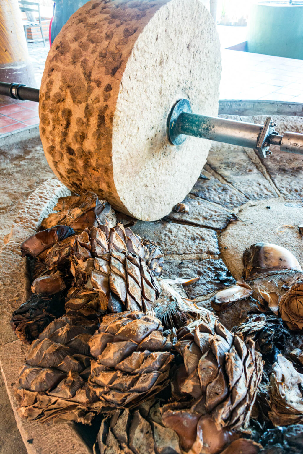 What is Mezcal? Here's Everything You Need to Know | Feast + West