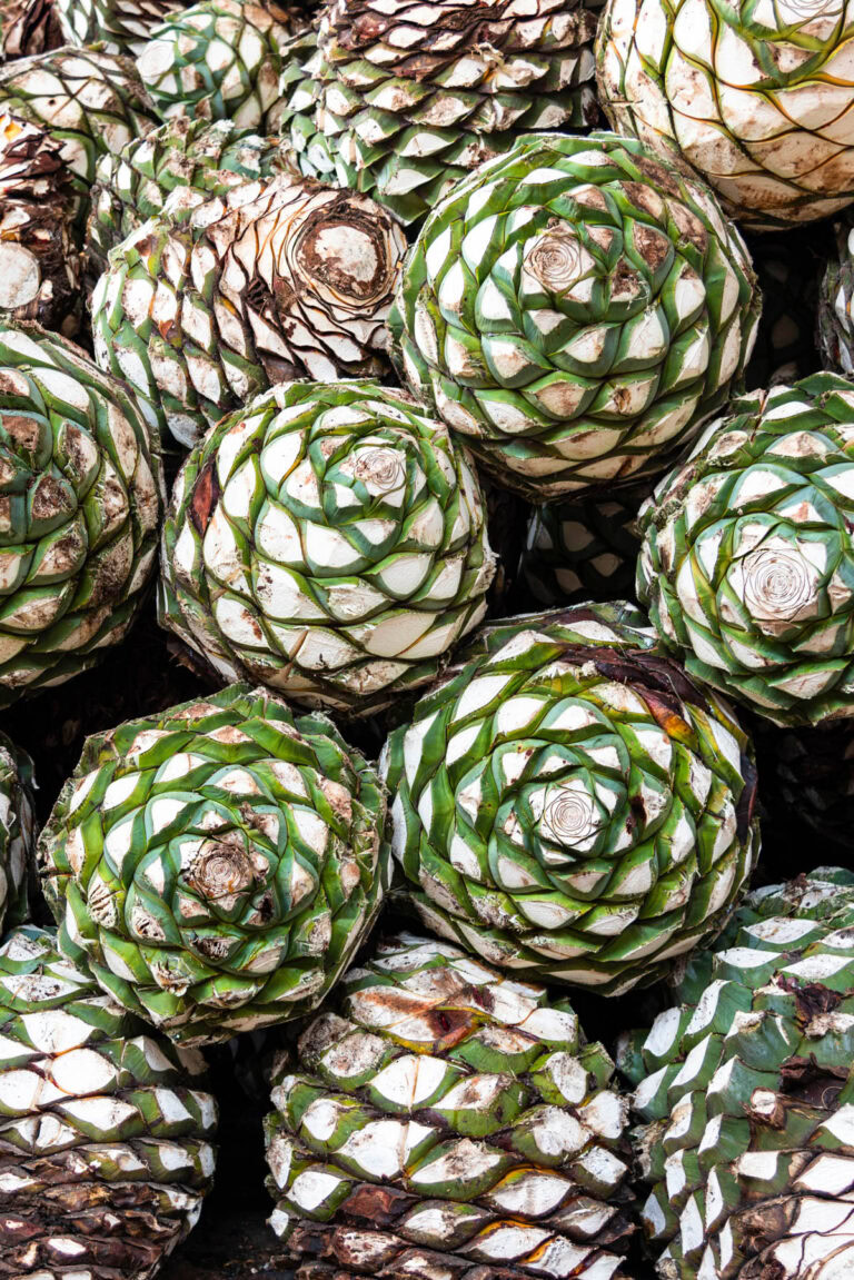 What is Mezcal? Here's Everything You Need to Know | Feast + West