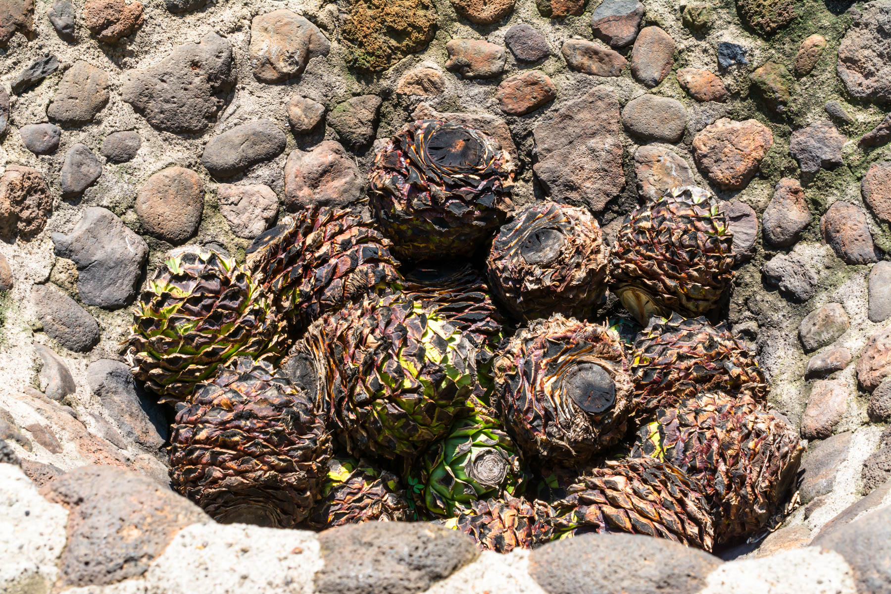 What is Mezcal? Here's Everything You Need to Know | Feast + West