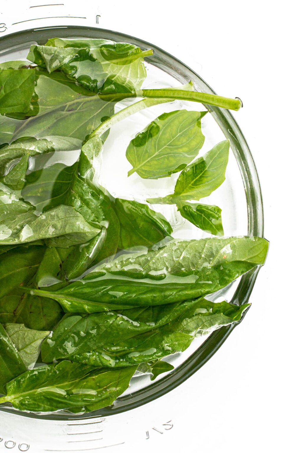 Basil Simple Syrup (Perfect for Cocktails) | Feast + West