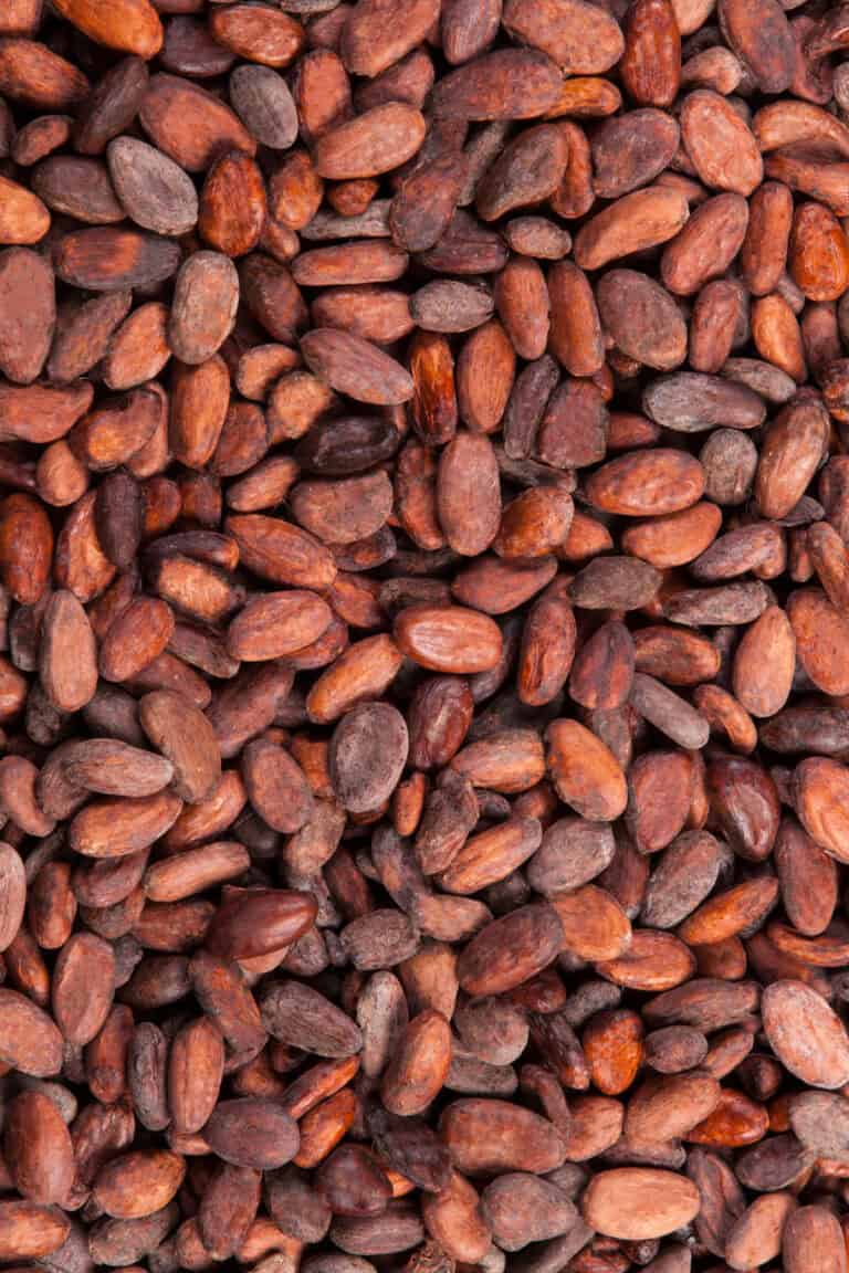 Crème de Cacao 101 (Chocolate Liqueur Guide) | Feast + West