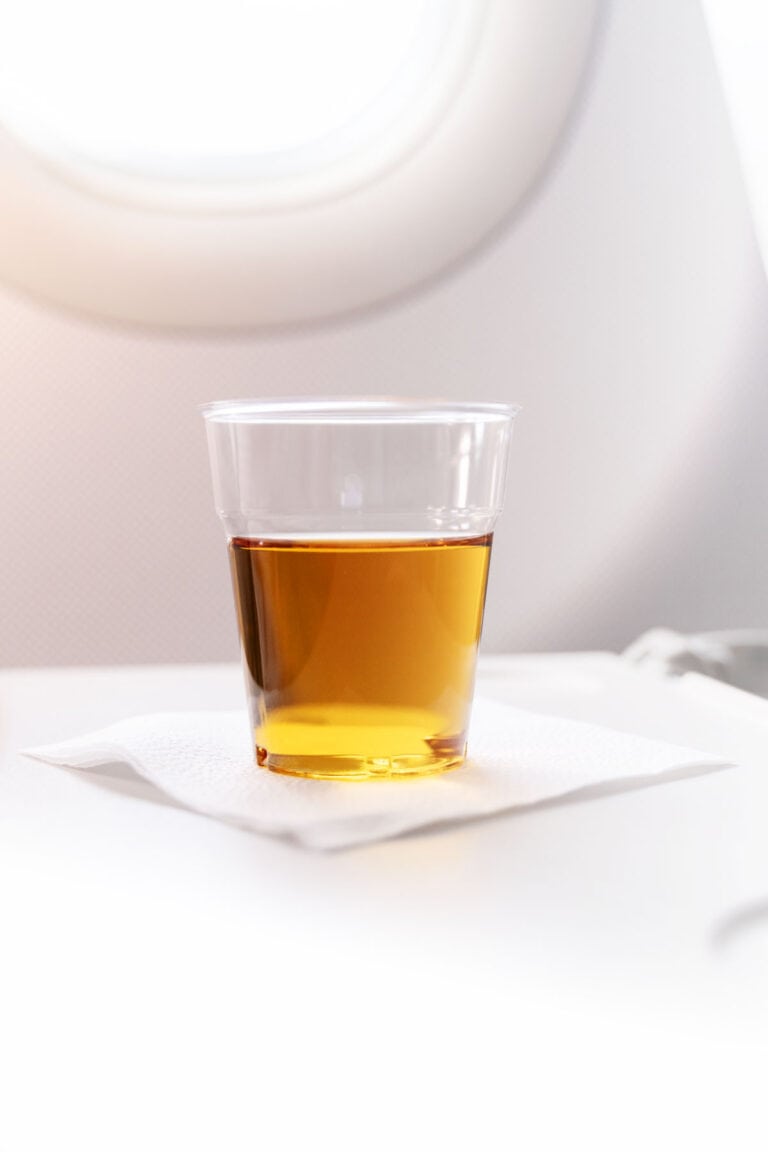 Airplane Cocktails: 20 Drink Ideas for Your Next Flight | Feast + West