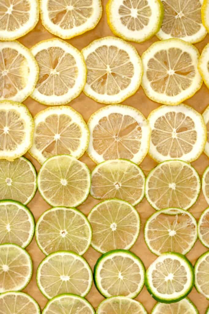 How to Make Dehydrated Lemon Slices | Feast + West