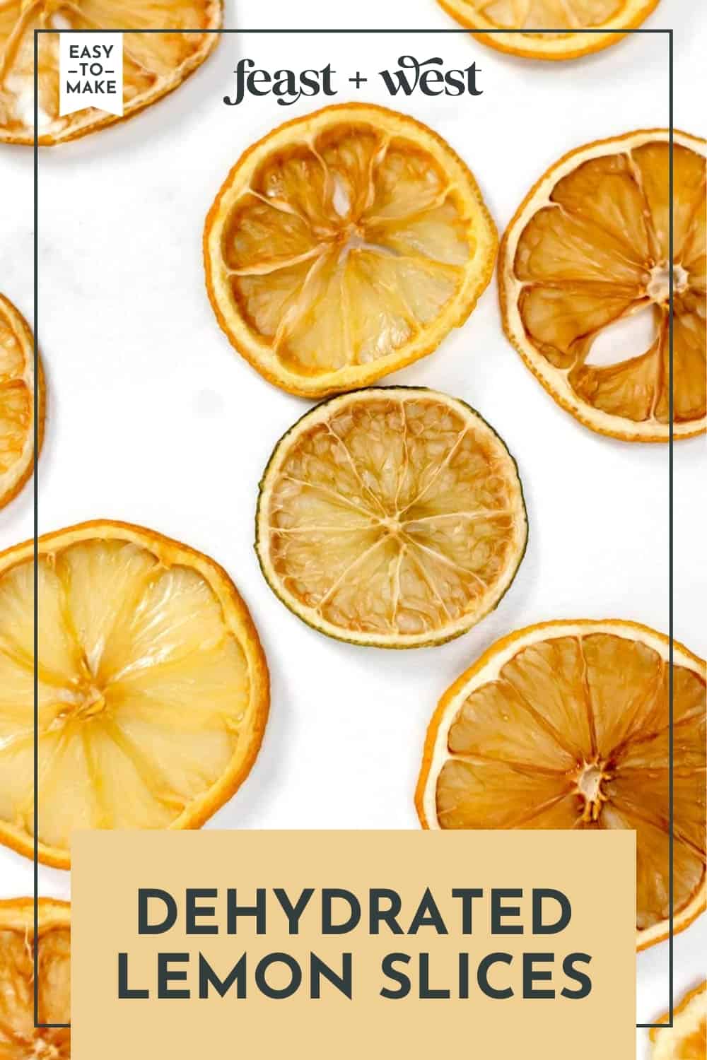 How to Make Dehydrated Lemon Slices | Feast + West