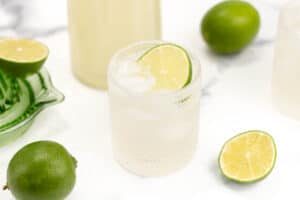 Easy Fresh Homemade Limeade Recipe