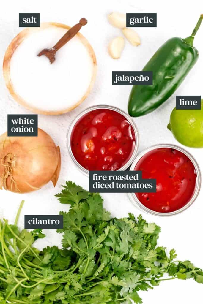 Homemade Salsa