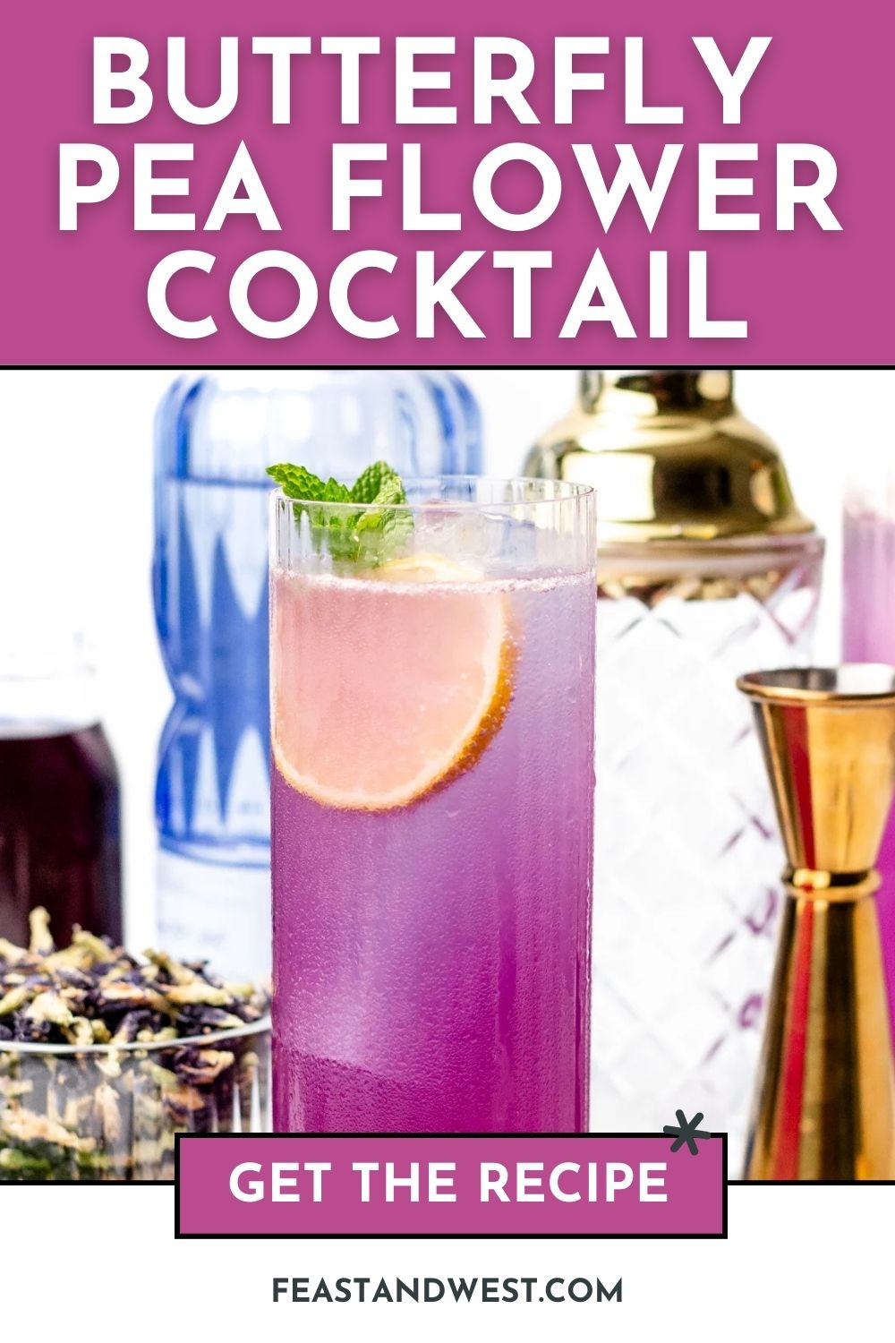 Butterfly Pea Flower Cocktail (Purple Tom Collins)