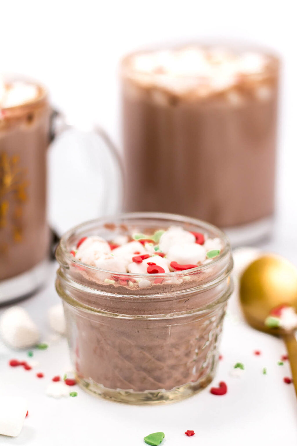 Homemade Hot Cocoa Mix (Easy Gift Idea)
